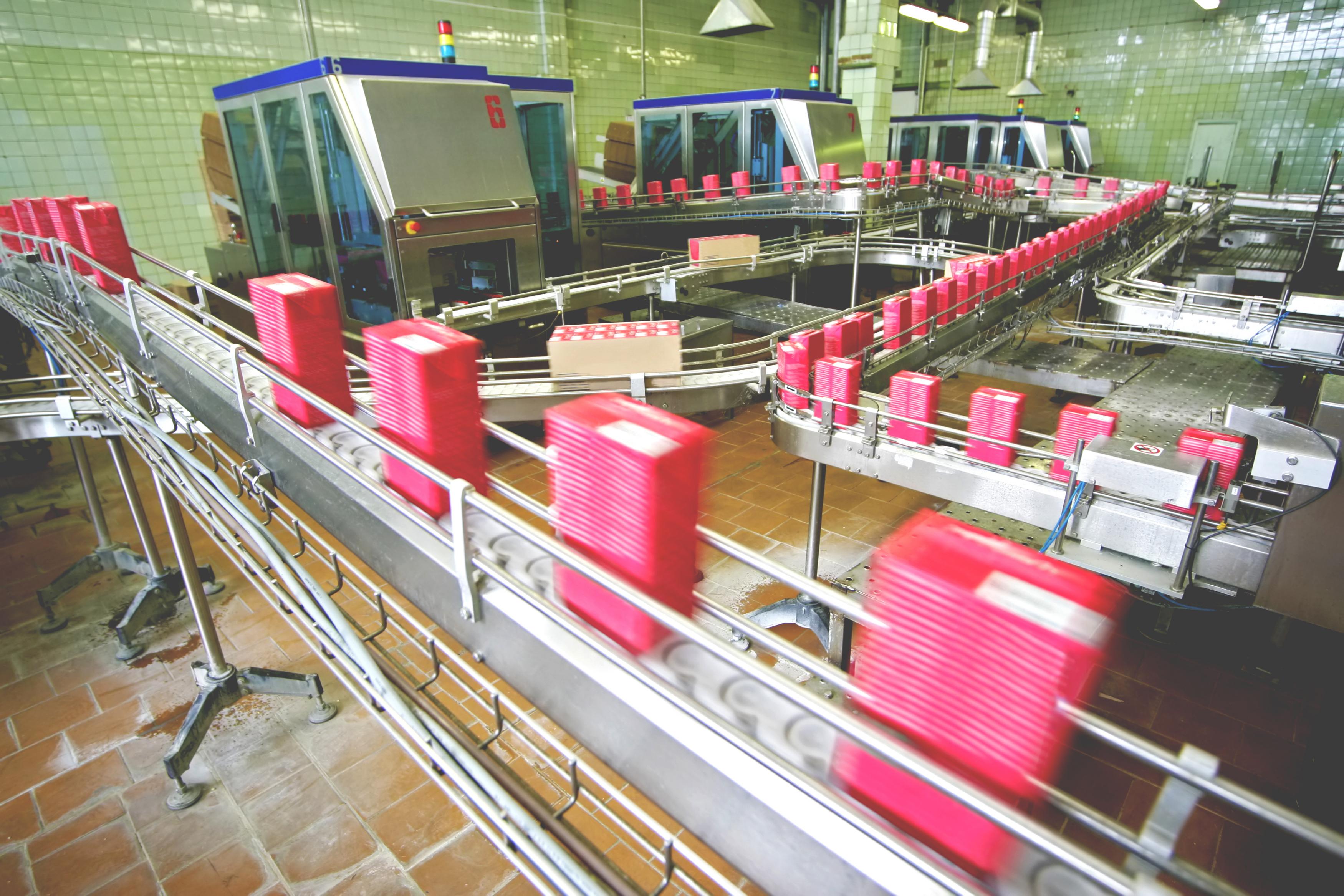 Food Processing Facility Defect